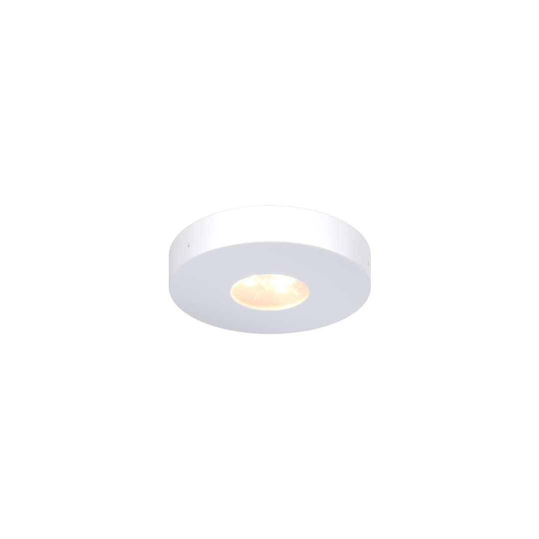 Surface Mount Downlight | L131 | MP Lighting